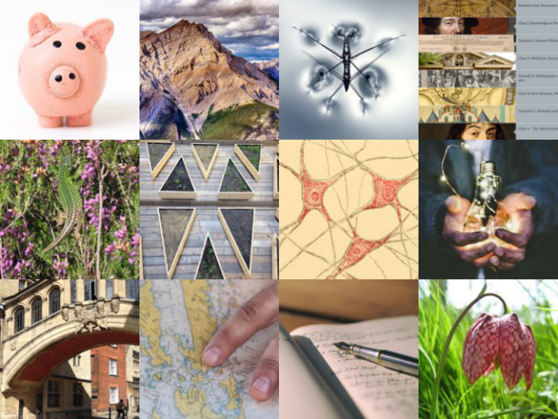 Activity Browser: We have lift-off! | WebLearn Blog